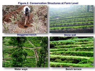 Soil conservation in the nilgiris | PPTX