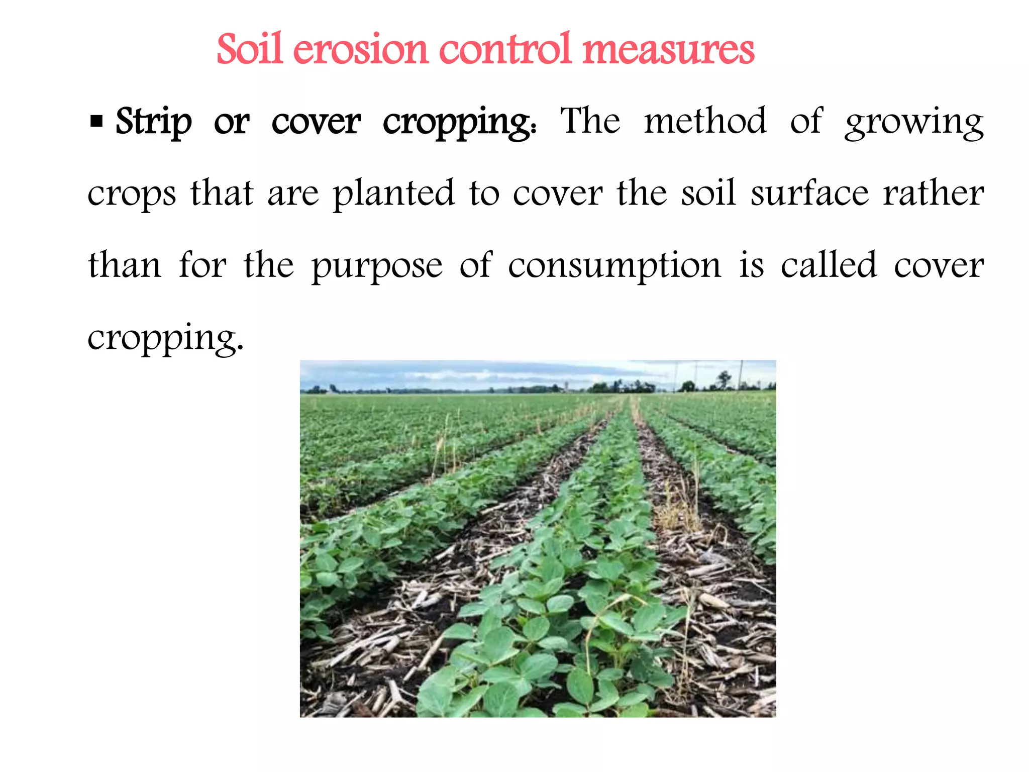Engineering and Bio-engineering soil conservation measures | PPTX