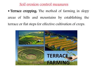 Engineering and Bio-engineering soil conservation measures | PPTX