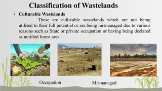 Soil Conservation Control Measures in Non-Agricultural lands | PPTX