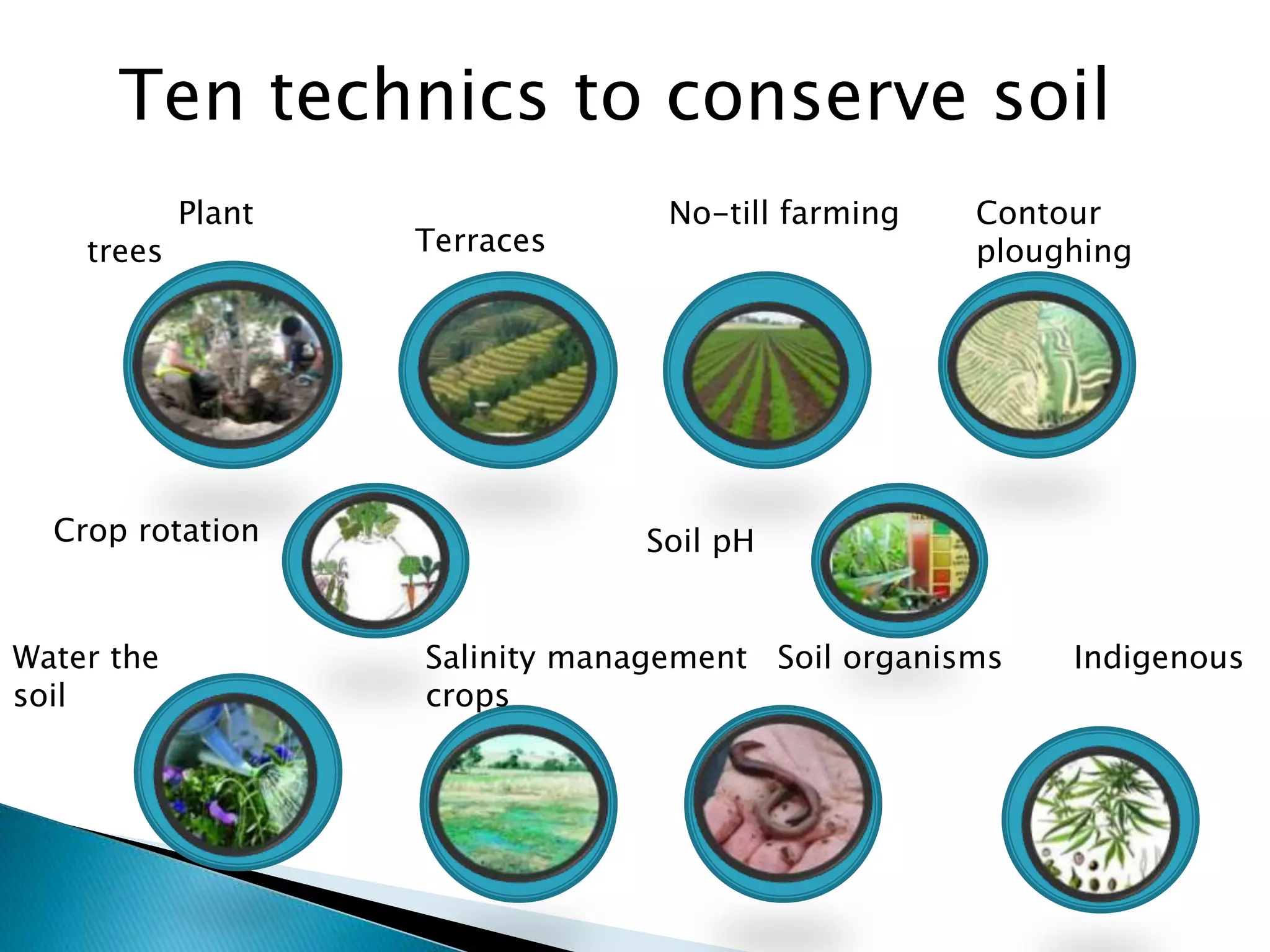 Soil conservation & technics by shridhar malkache | PPT