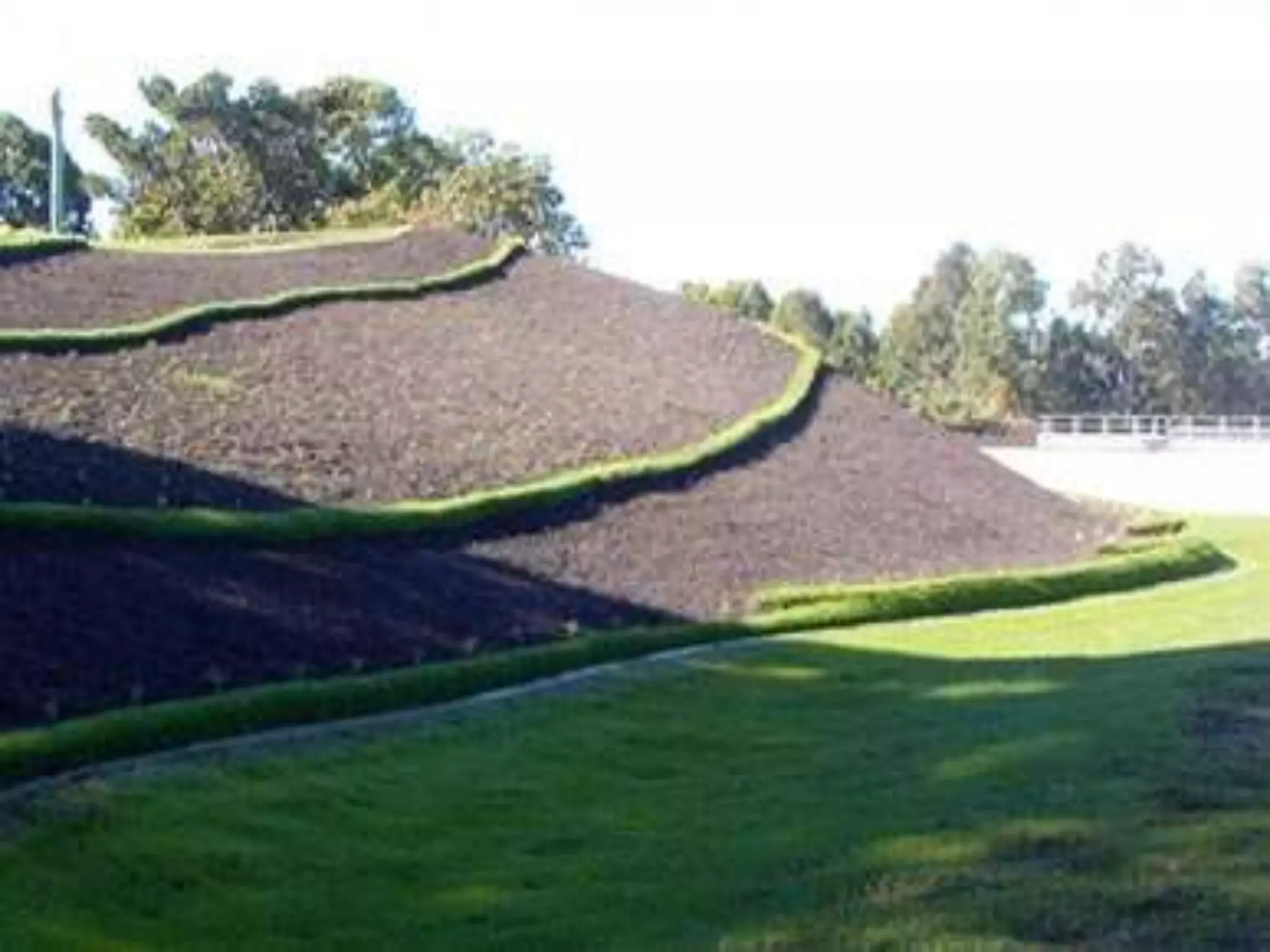 Soil conservation techniques | PPTX