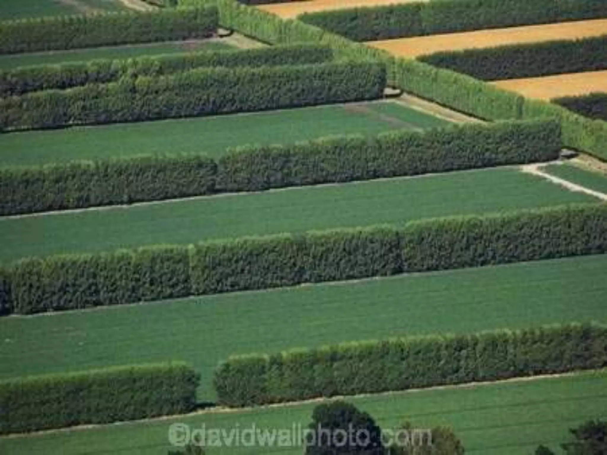 Soil conservation techniques | PPTX