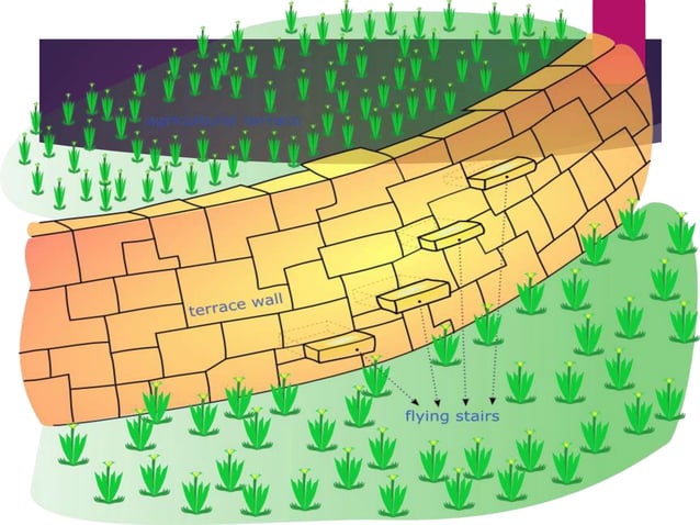 Soil conservation techniques | PPTX