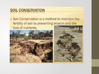 SOIL CONSERVATION TECHNIQUES.pptxScience Report | PPTX