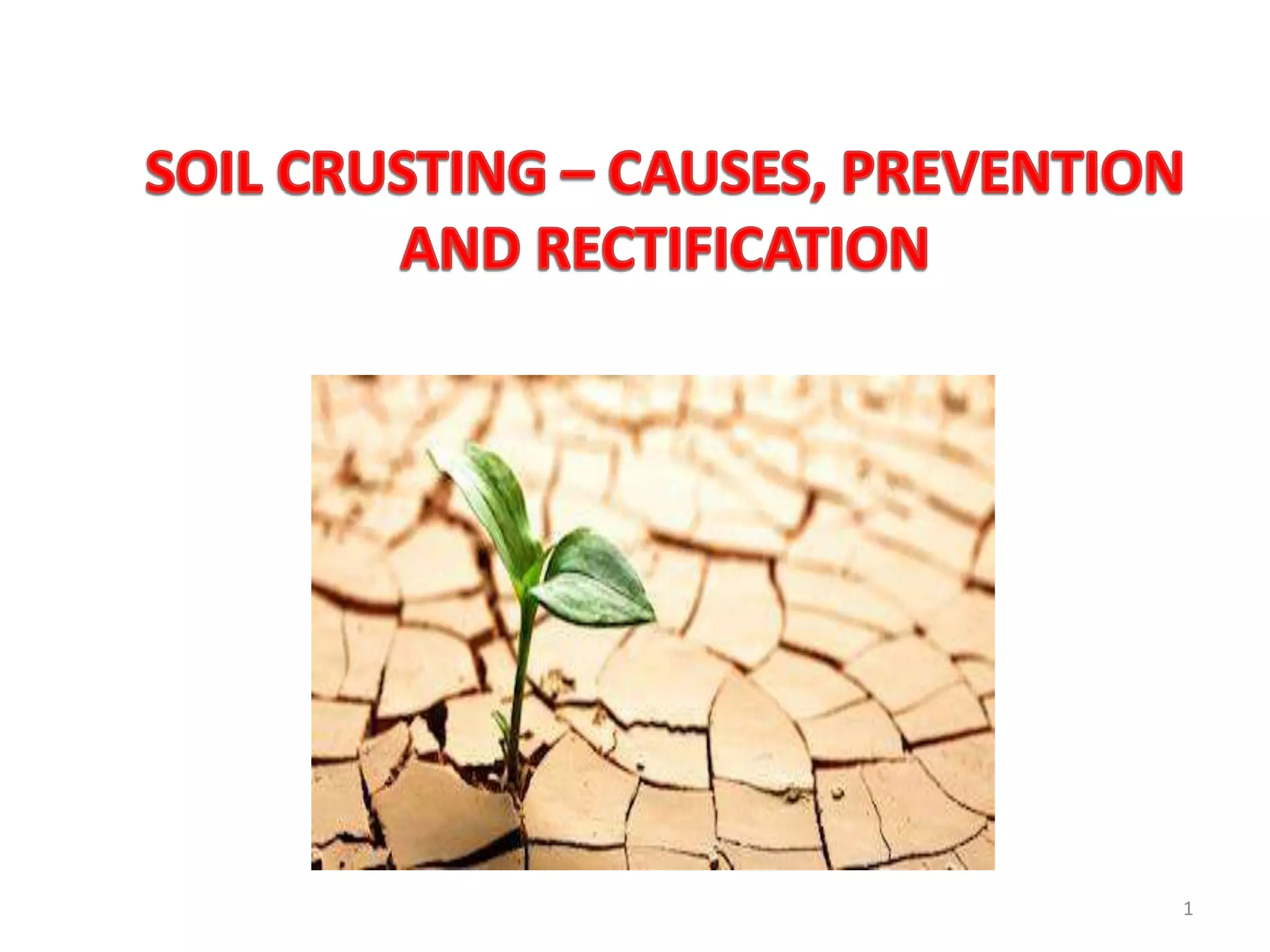 Soil crusting - causes, prevention and rectification | PPT