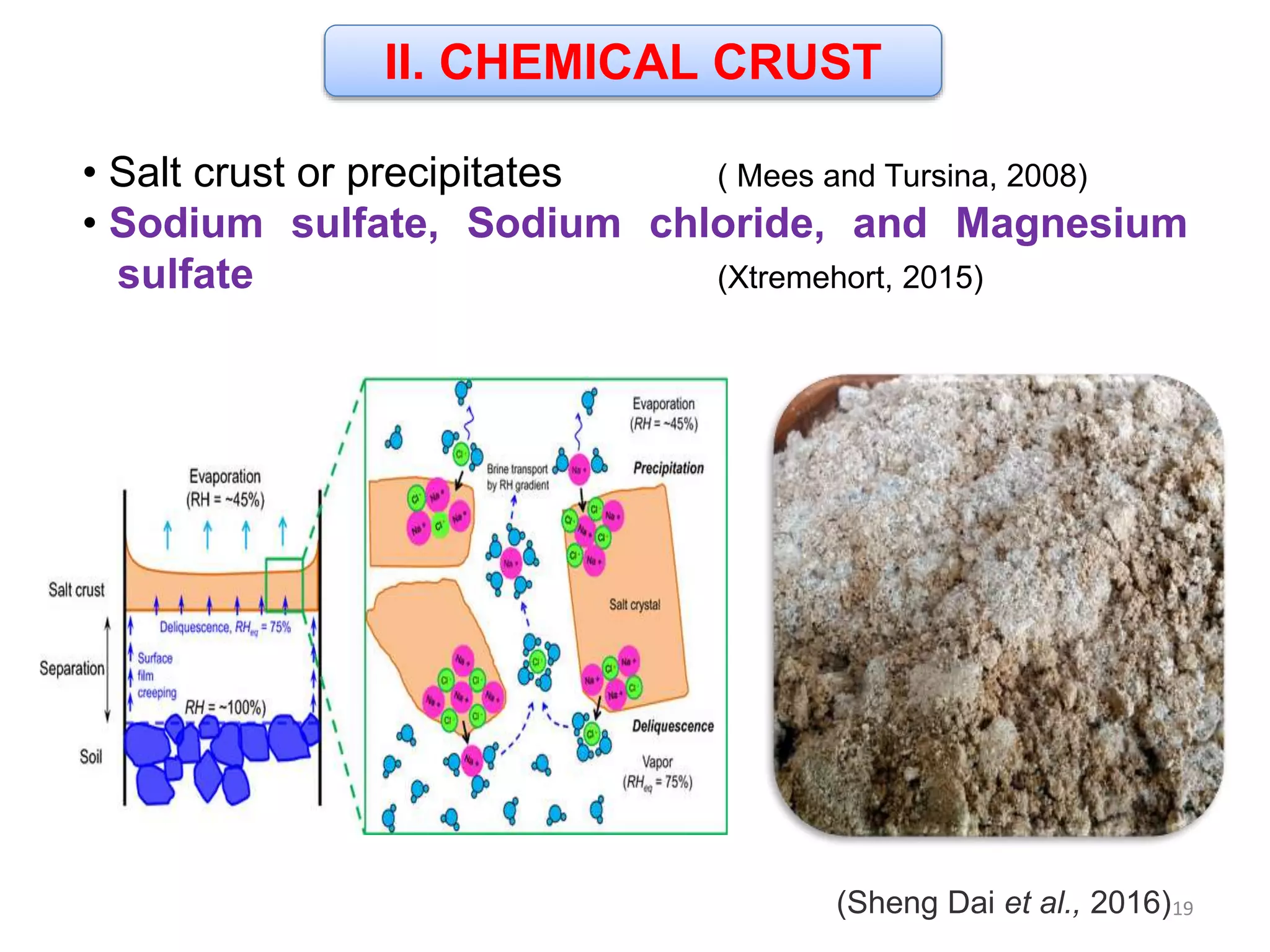 Soil crusting - causes, prevention and rectification | PPT