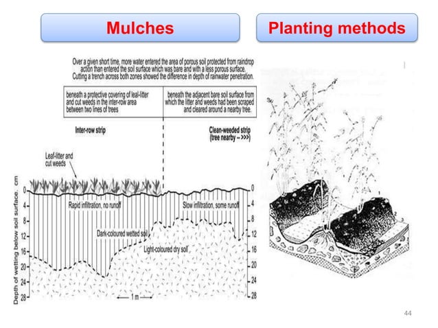 Soil crusting - causes, prevention and rectification | PPT