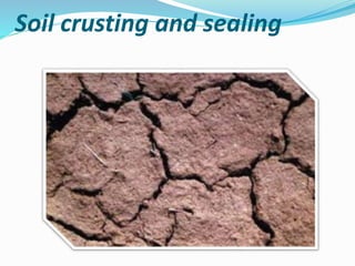 Soil crusting and sealing | PPTX