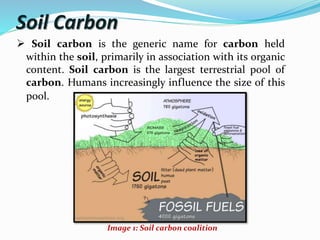 Soil Carbon & its Sequestration for Better Soil Health | PPT