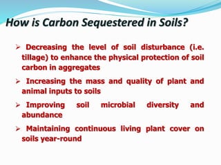 Soil Carbon & its Sequestration for Better Soil Health | PPT