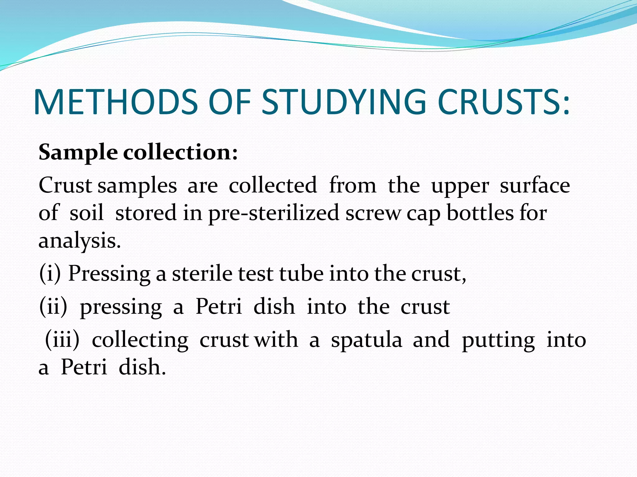 Soil cyanobacteria.ppt