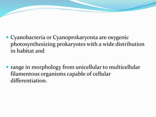 Soil cyanobacteria.ppt