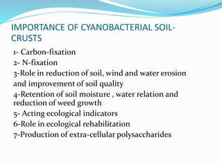 Soil cyanobacteria.ppt