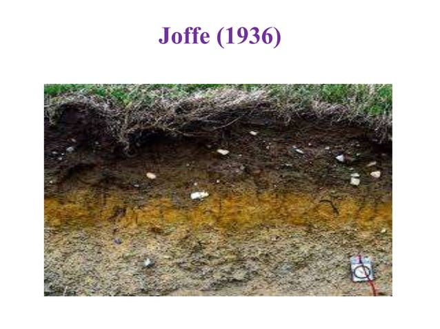 Soil definition by various authors | PPTX | Geology | Science