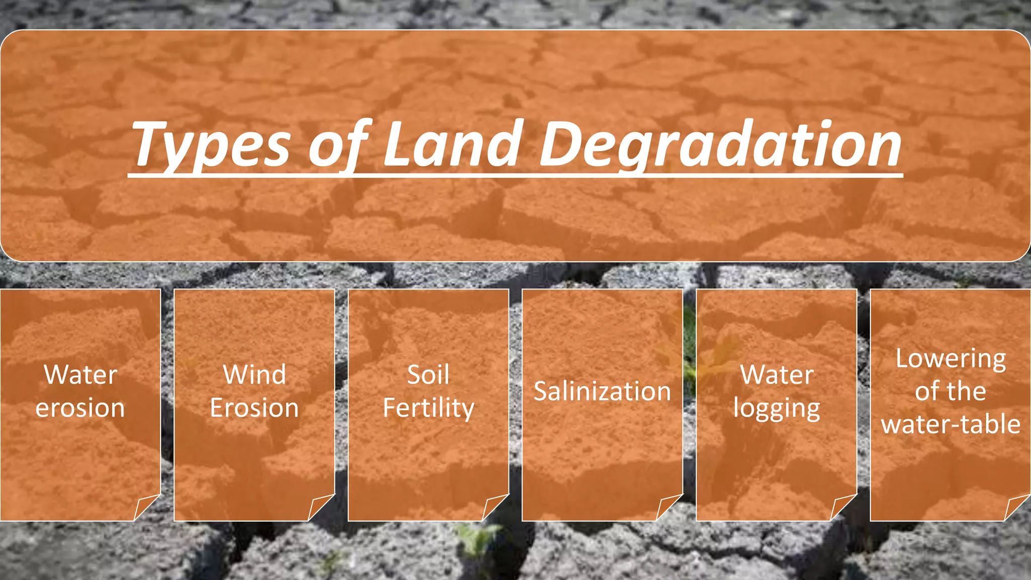 Soil degradation | PPTX