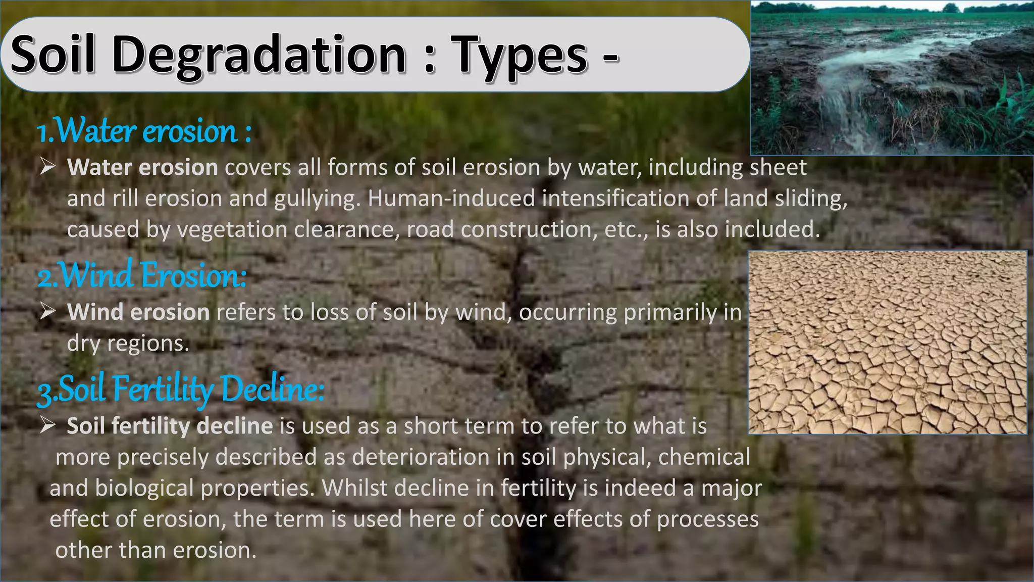 Soil degradation | PPTX