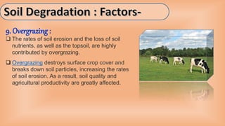 Soil degradation | PPTX