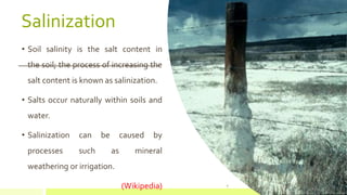Soil degradation | PPTX