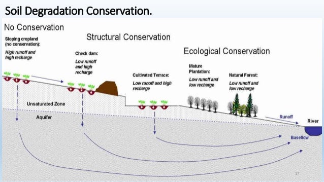 Soil degradation and regeneration