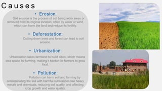 Soil Degradation & Our future? | PPTX