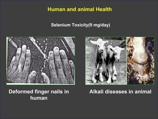 Soil degradation through industrial effluents | PPT
