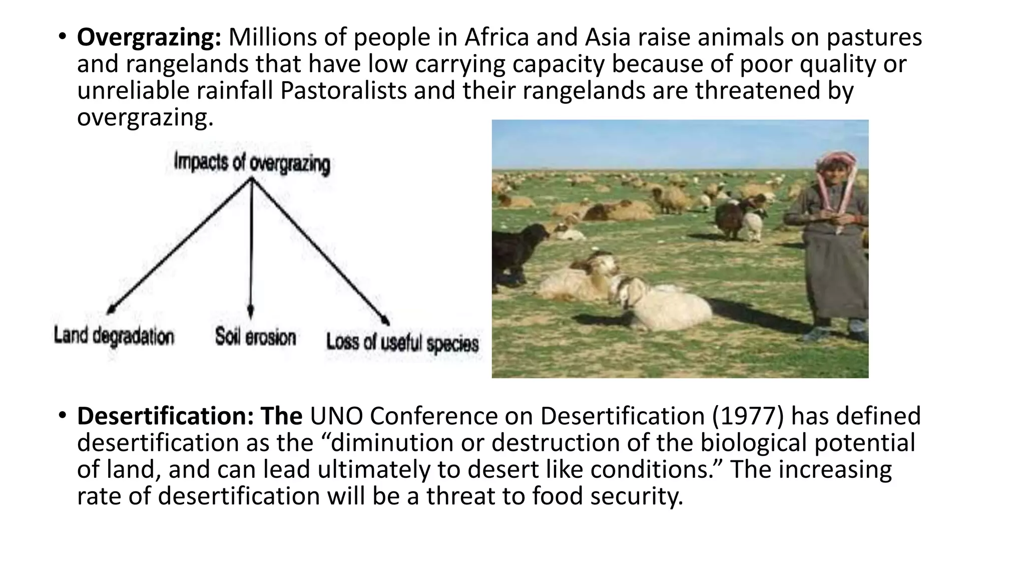 Soil degradation, food security issue | PPTX