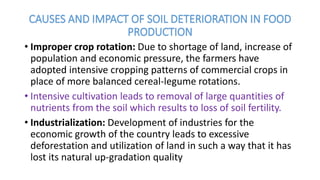 Soil degradation, food security issue | PPTX