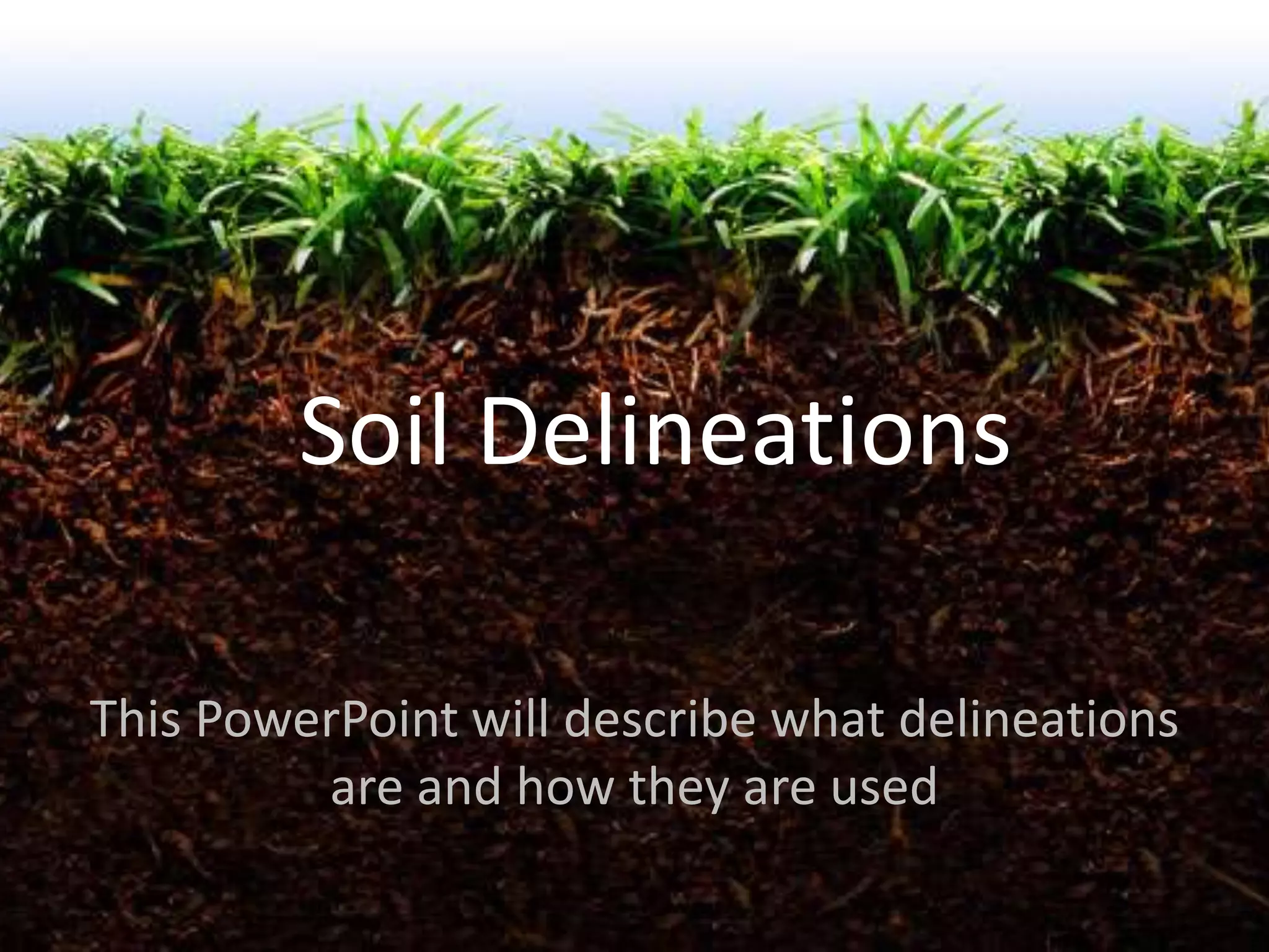 Soil Delineation | PPTX