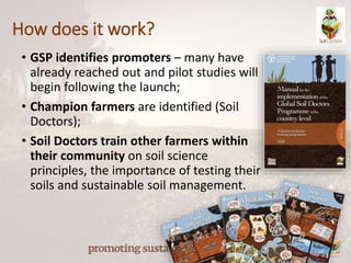 The Global Soil Doctors Programme | PPTX