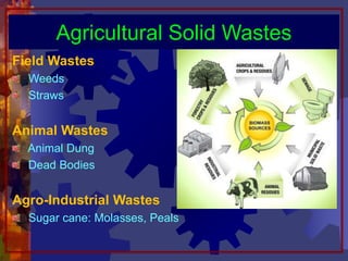 Soild waste management | PPT