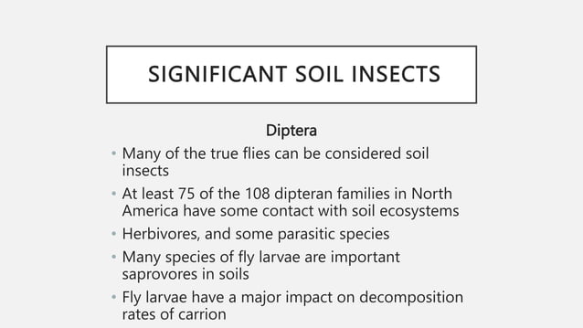 soil DWELLING INSECTS.pptx