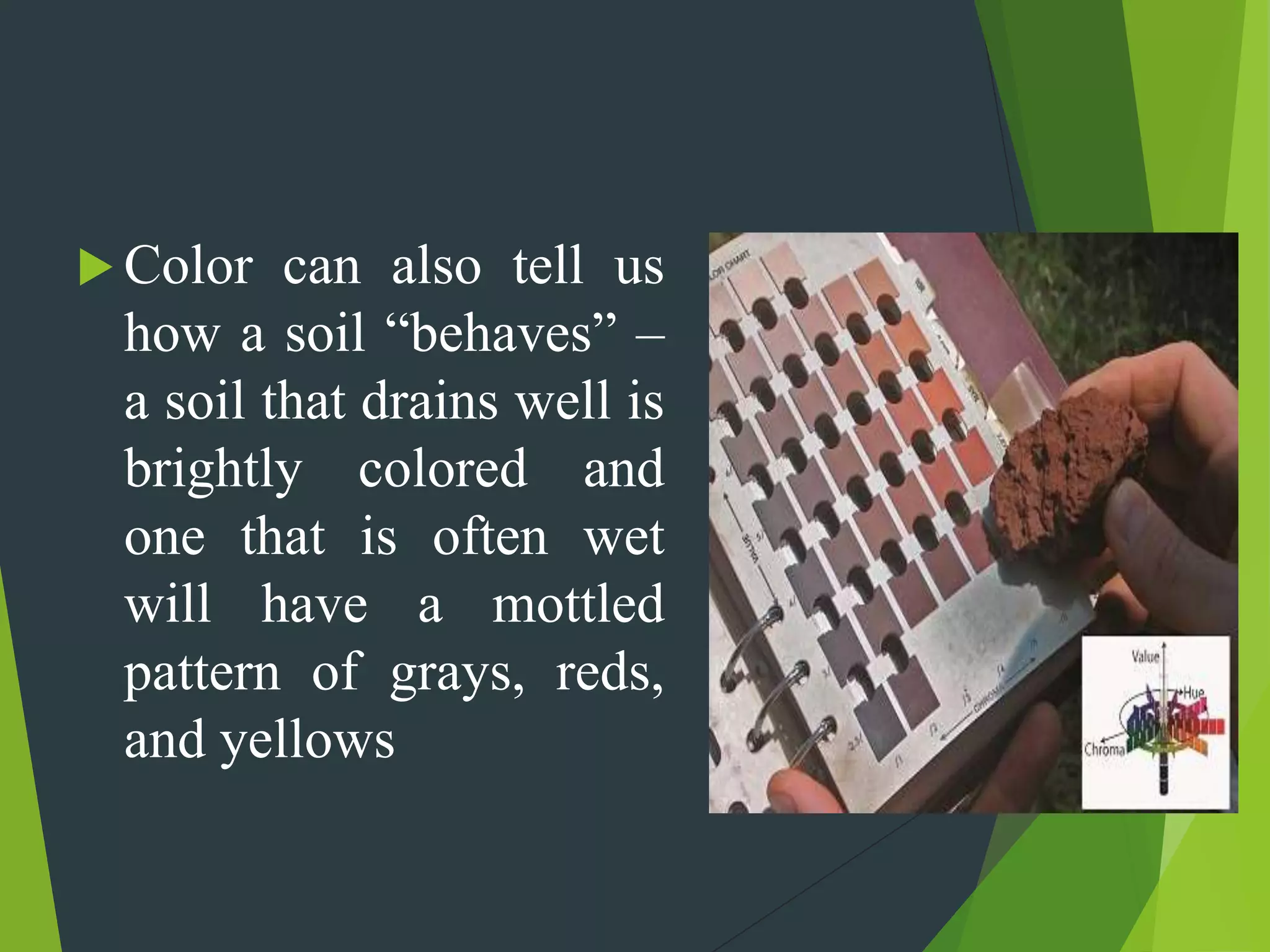 Soil ecology | PPTX
