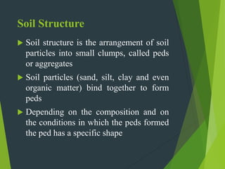 Soil ecology | PPTX
