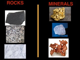 Soil ecosystem and rocks copia | PPT