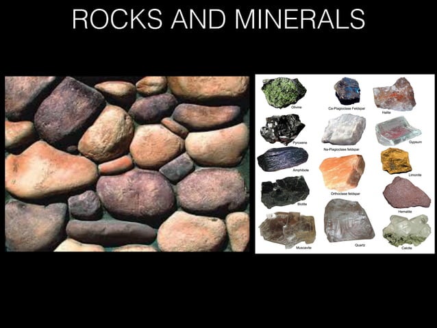 Soil ecosystem and rocks copia | PPT