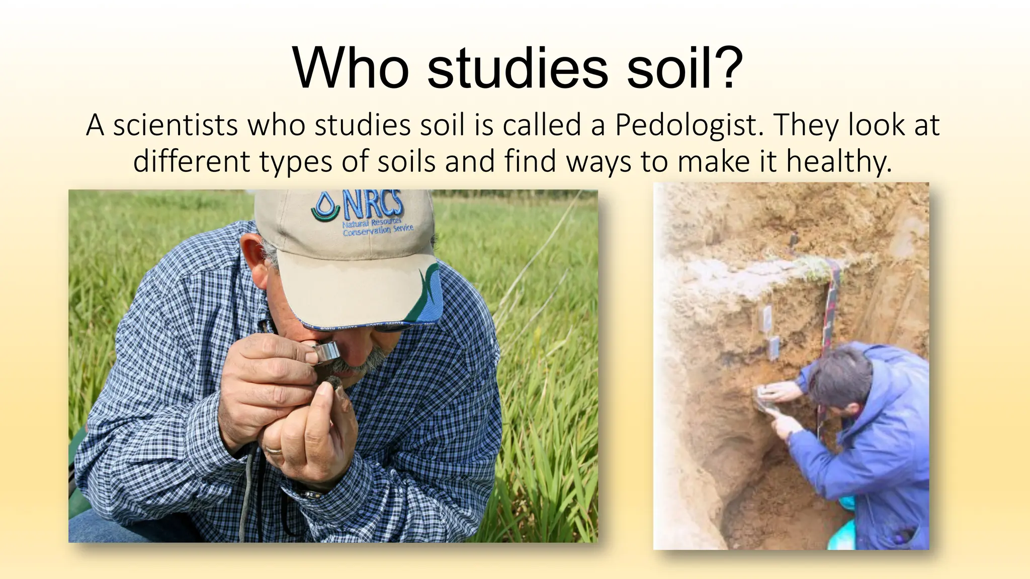 Soil Editable Basics Properties for Kids | PDF