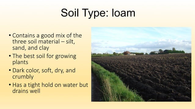 Soil Editable Basics Properties for Kids | PPT