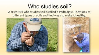 Soil Editable Basics Properties for Kids | PPT
