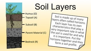 Soil Editable Basics Properties for Kids | PPT