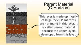 Soil Editable Basics Properties for Kids | PPT
