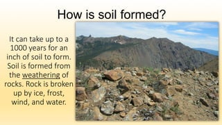Soil Editable Basics Properties for Kids | PPT