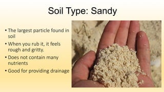 Soil Editable Basics Properties for Kids | PDF