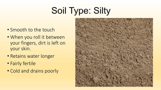 Soil Editable Basics Properties for Kids | PPT