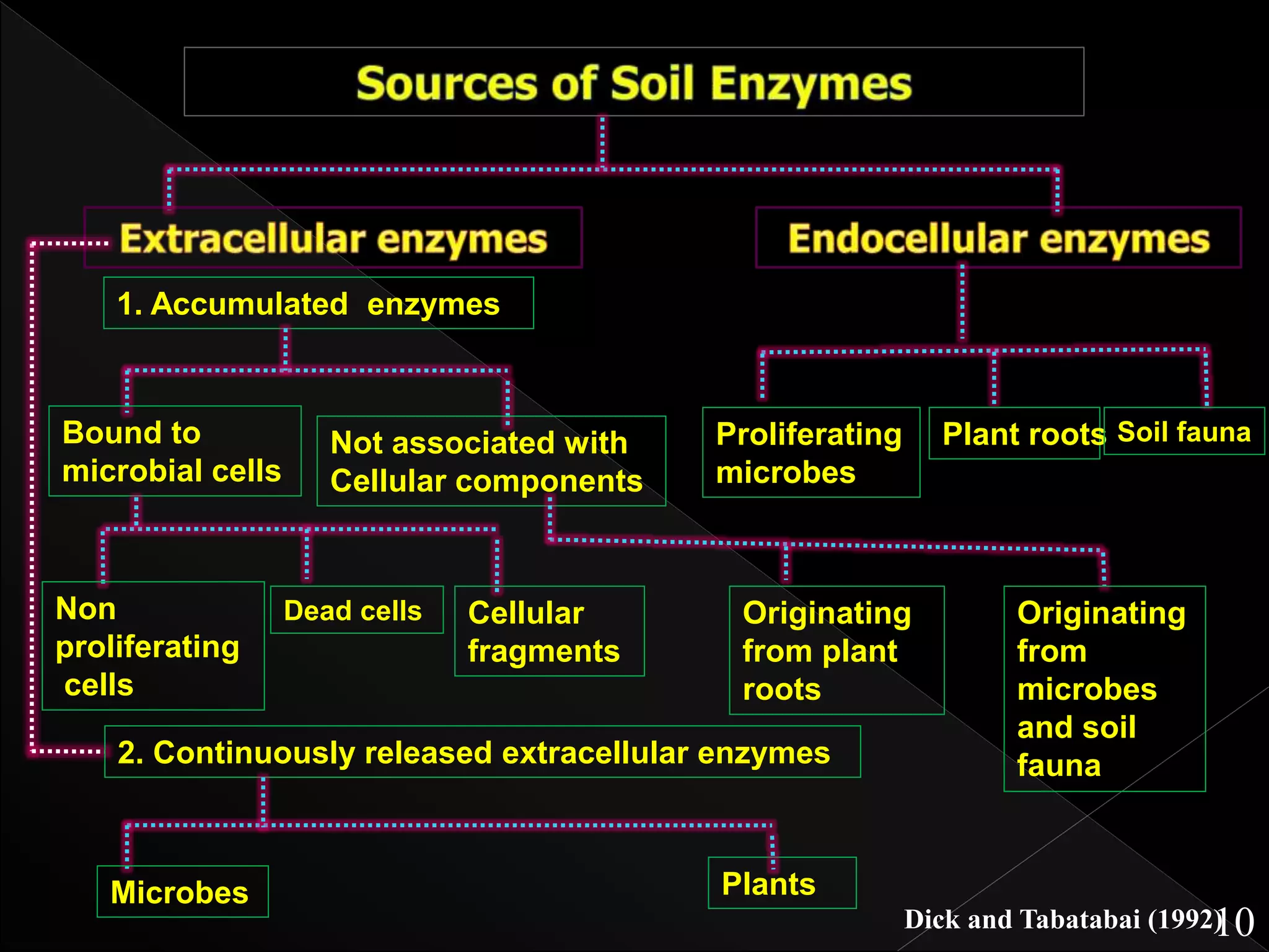 Soil enzyme | PPTX