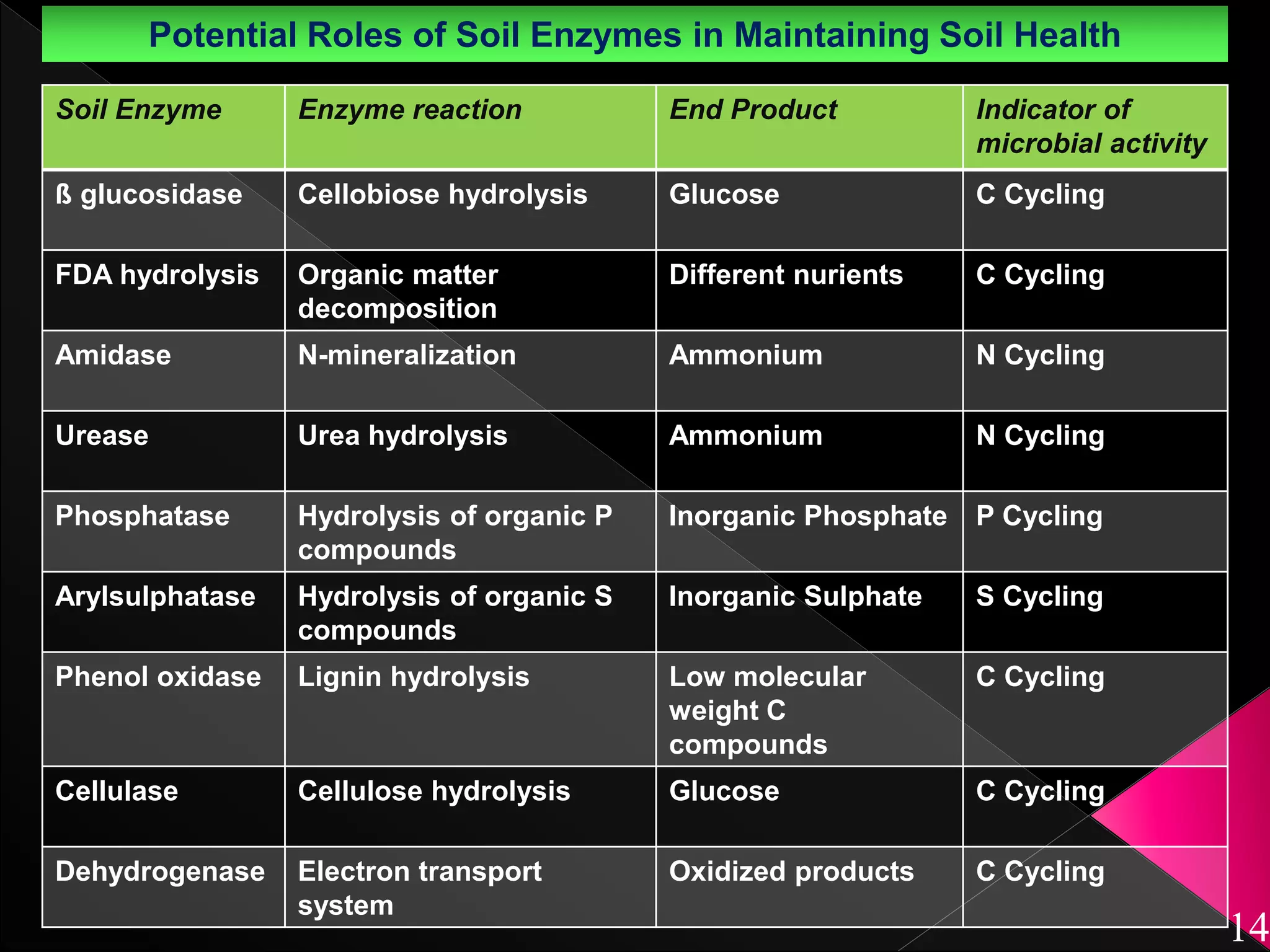 Soil enzyme | PPTX