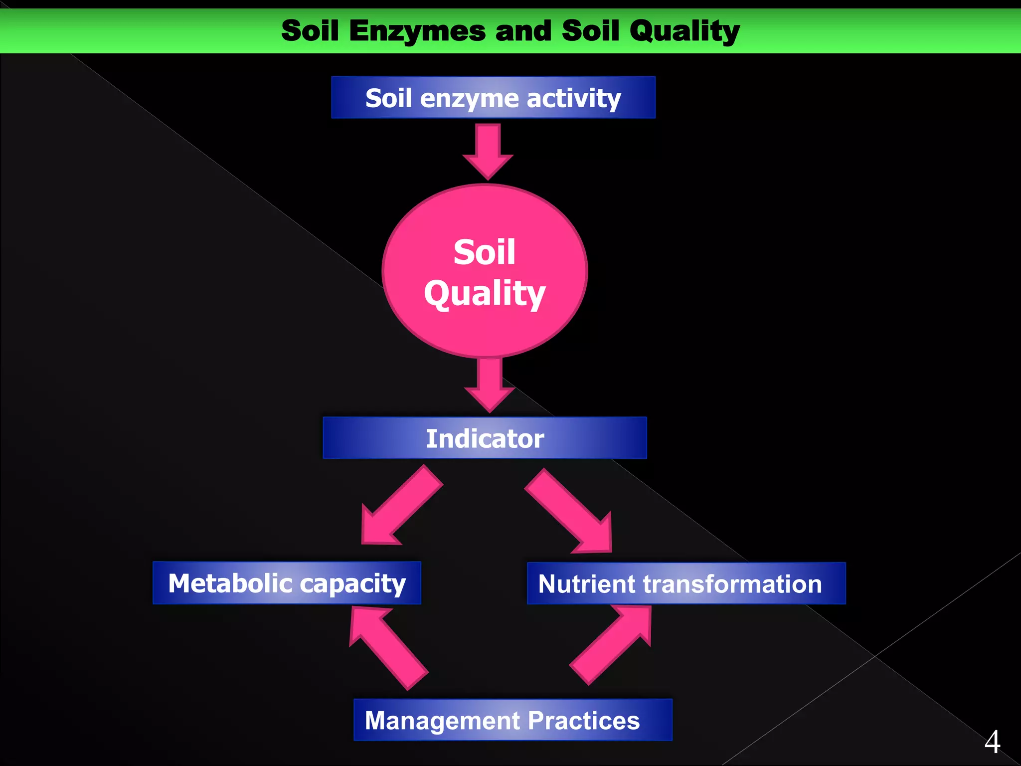 Soil enzyme | PPTX