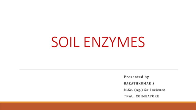 SOIL ENZYMES.pptx | Gardening | Home & Garden