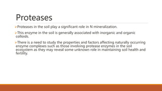 SOIL ENZYMES.pptx