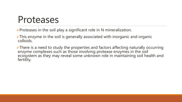 SOIL ENZYMES.pptx | Gardening | Home & Garden